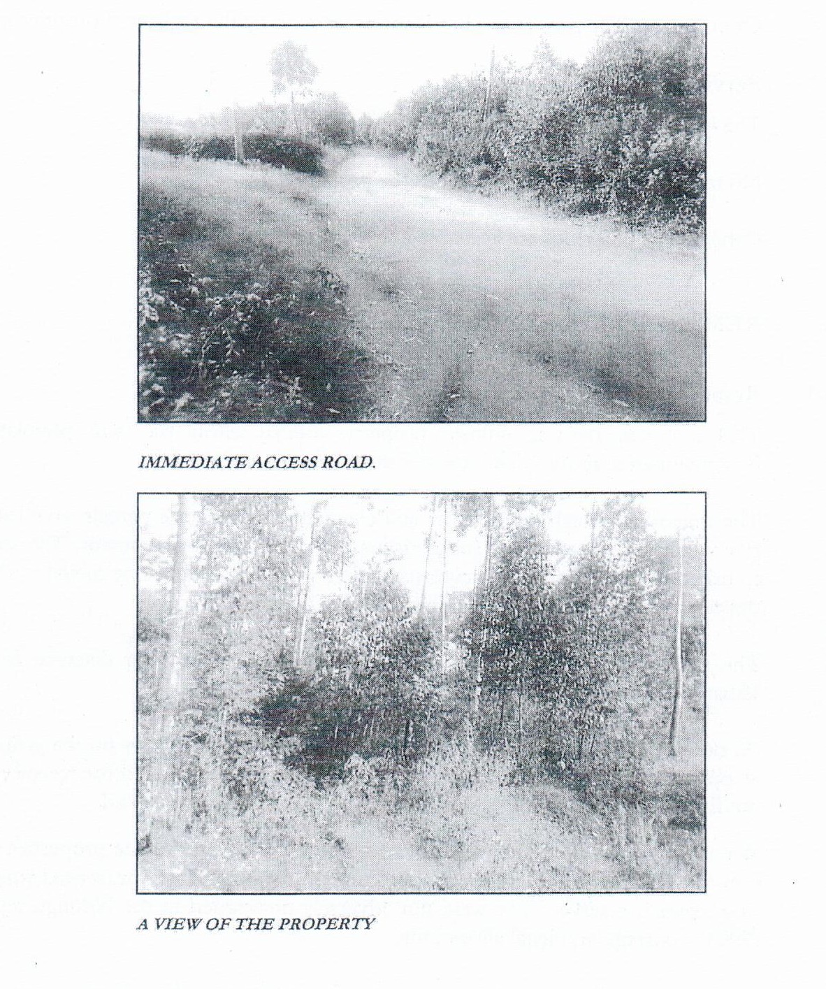 PRIME AGRICULTURAL PROPERTY IN NYAMWINI AREA MIGORI COUNTY ON 26TH ...