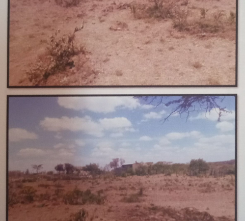 PRIME RESIDENTIAL PROPERTY IN MWAMBA AREA, NAROK MUNICIPALITY, NAROK ...