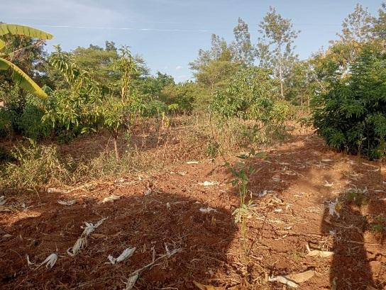 PRIME RESIDENTIAL PROPERTY IN KIRUKI AREA, MATINYANI, KITUI COUNTY - LK ...