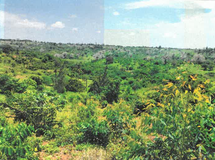 PRIME RESIDENTIAL PROPERTY IN MAVUENI LOCATION MZOMBERE AREA KILIFI ...