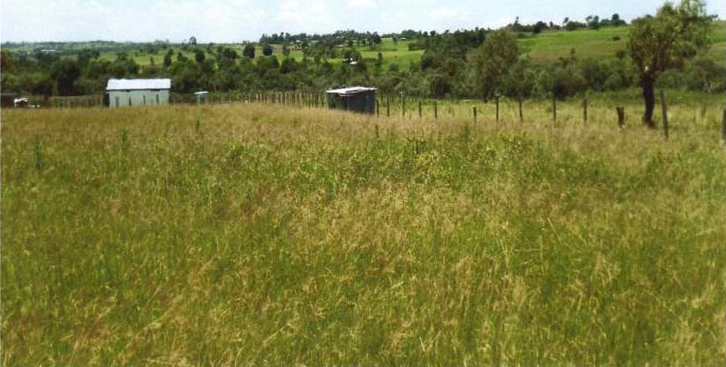 PRIME AGRICULTURAL PROPERTY IN NKARETA NAROK NORTH,NAROK COUNTY - SBM ...