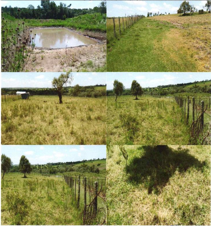 PRIME AGRICULTURAL PROPERTY IN NKARETA NAROK NORTH,NAROK COUNTY - SBM ...