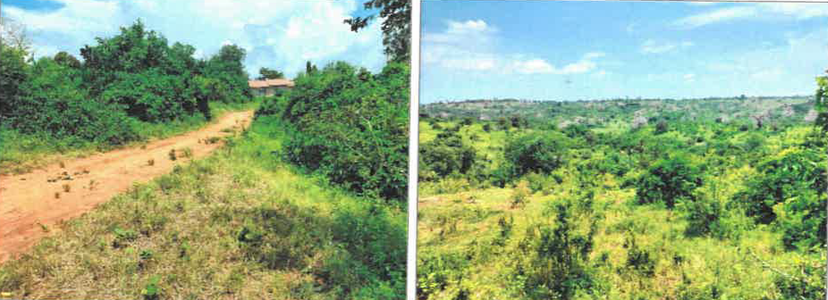 PRIME RESIDENTIAL PROPERTY IN MAVUENI LOCATION MZOMBERE AREA KILIFI ...