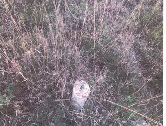 PRIME RESIDENTIAL PROPERTIES IN KATANI AREA, MACHAKOS COUNTY-KC ...